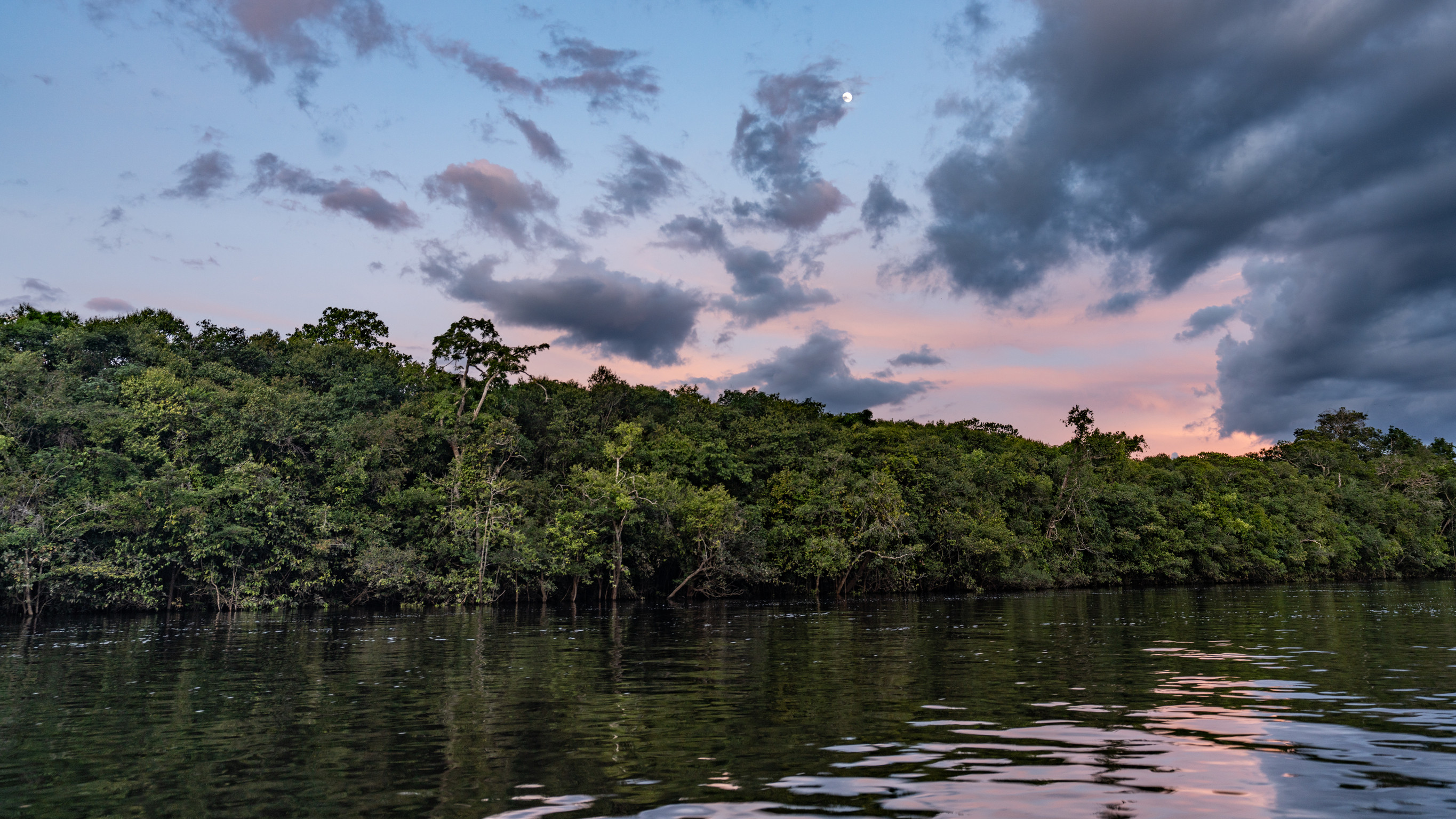 Amazon Rainforest Travel Guide for Visitors to Brazil